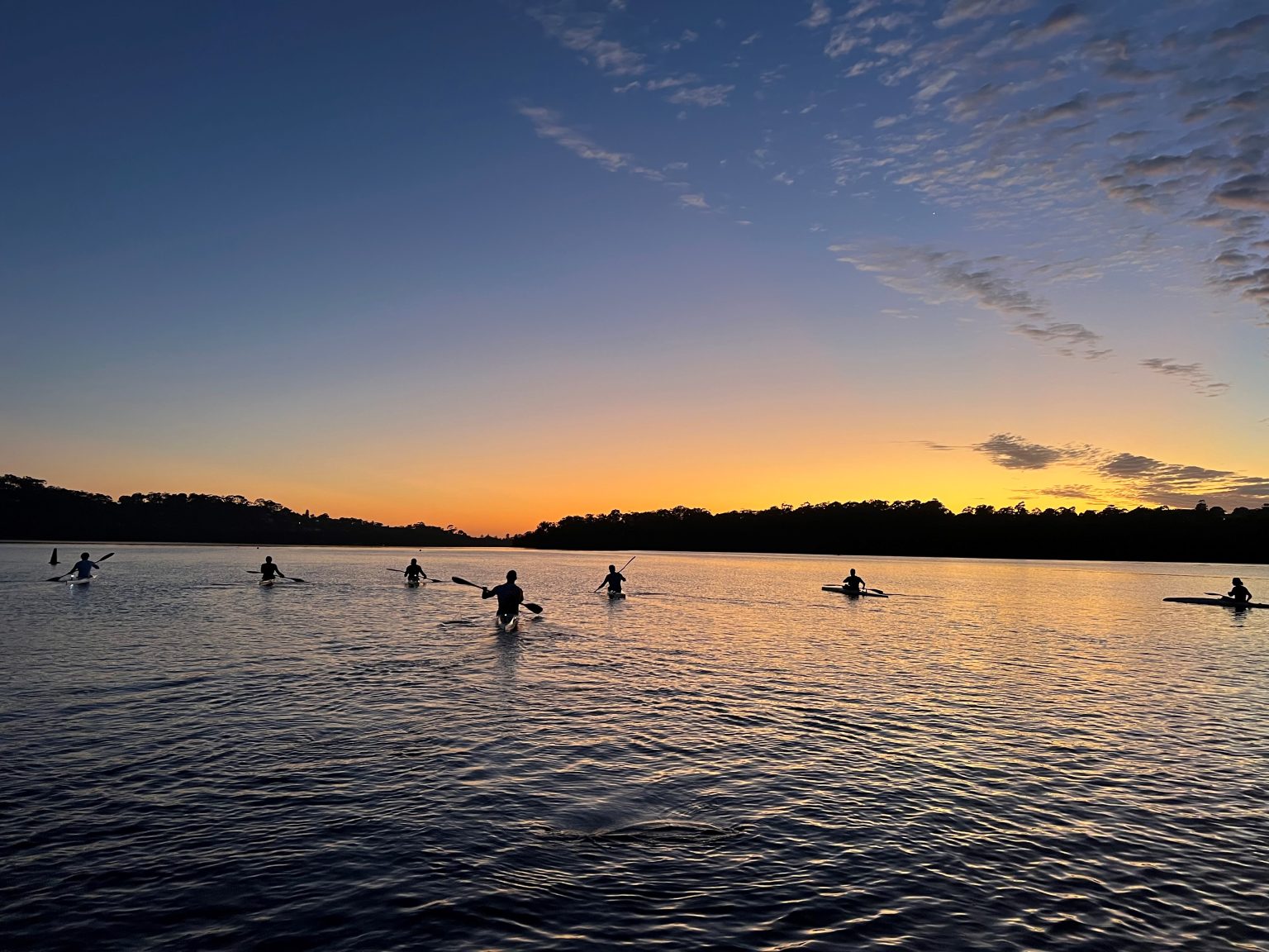 From the Wolverine to Sydney Roosters to Littlehales, Jake Michael ...