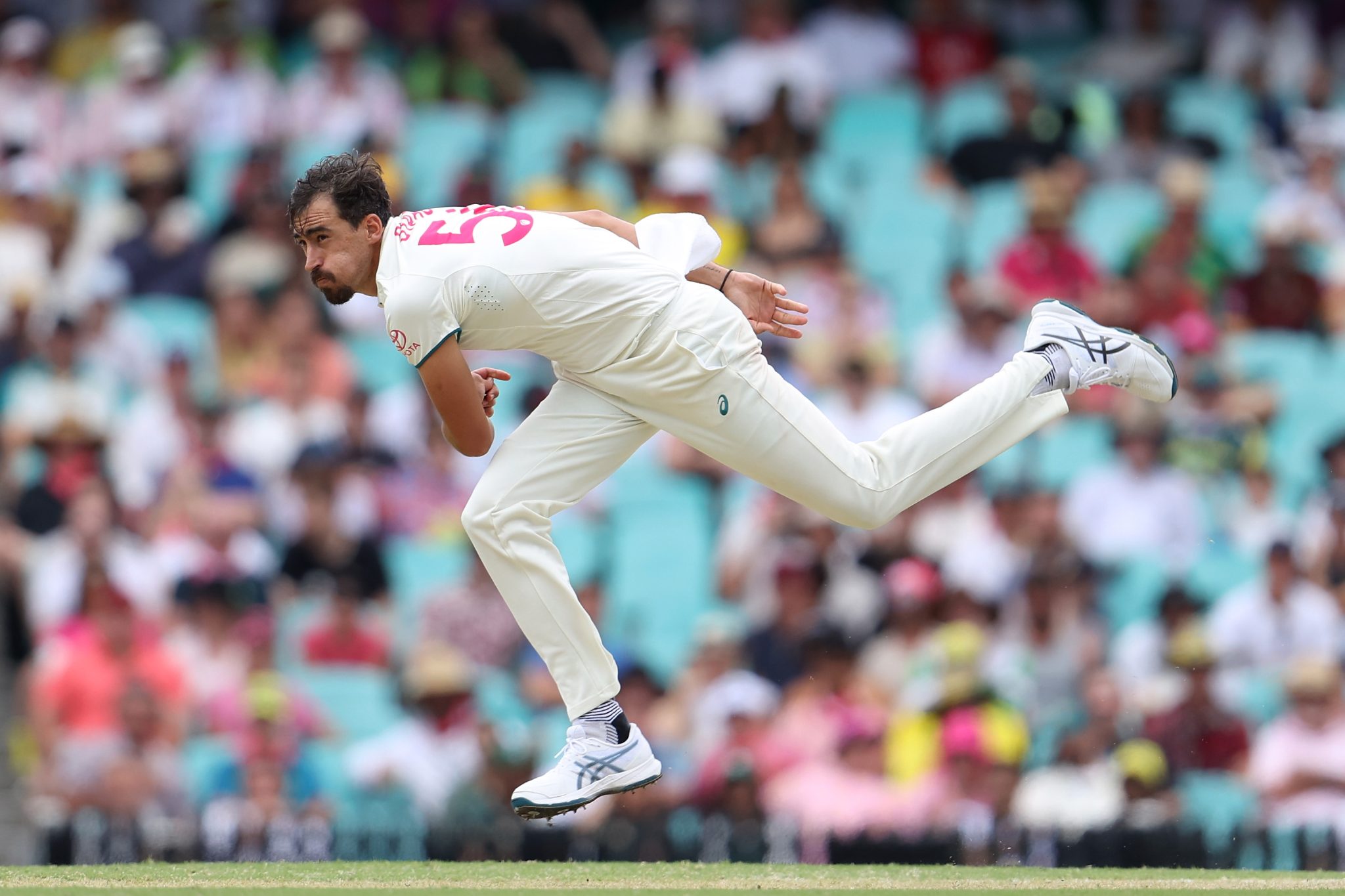 Brandon’s Starc reality is to jump high, jump well | NSW Institute of ...